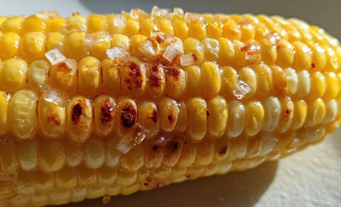Grilled Corn on the Cob for Kids: 4 Yum Butters - childrecipe.com